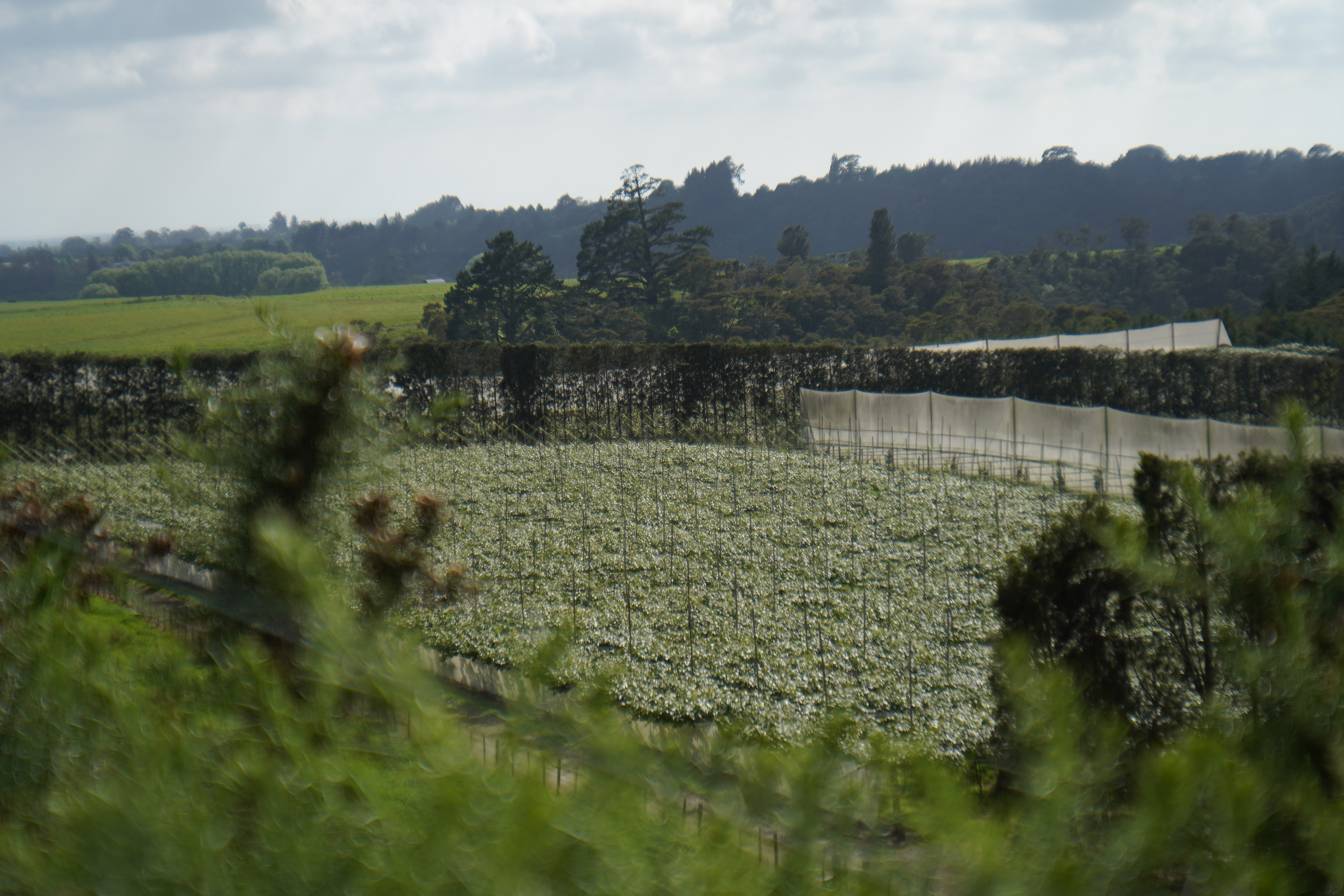 Flowerday Orchards | Halo Systems Australia